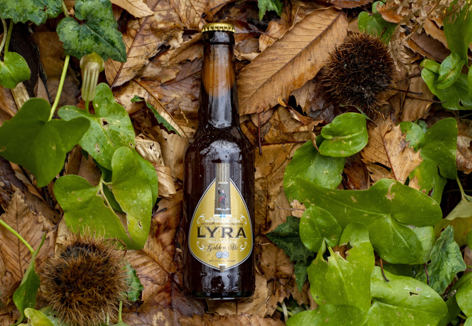ΑΡΧΙΚΗ - Lyra Beer